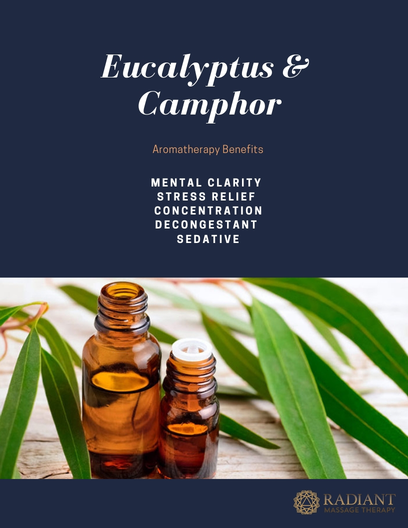 Essential Oil Aromatherapy: Eucalyptus & Camphor – Radiant Massage Therapy